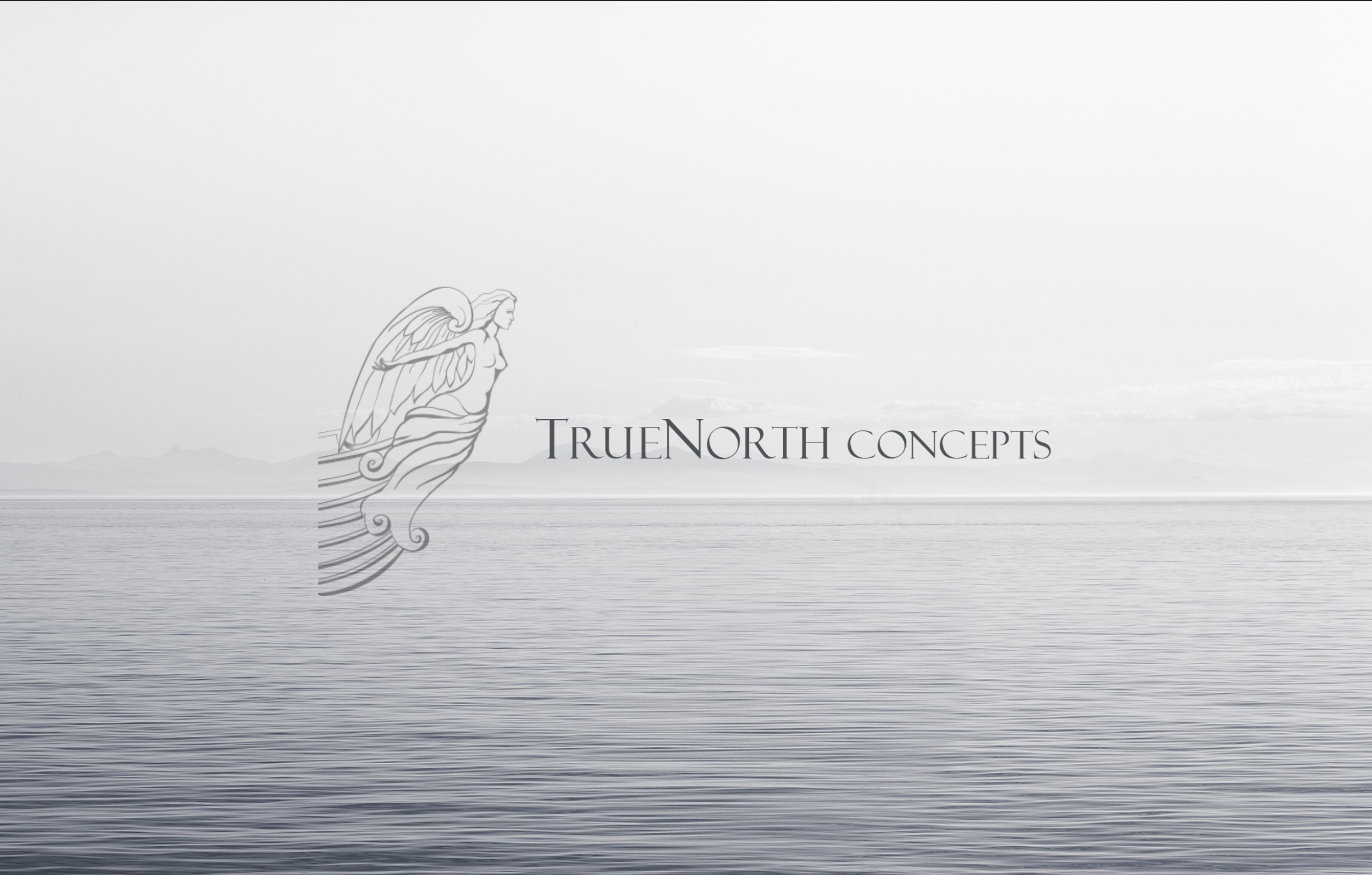 TrueNorth Concepts